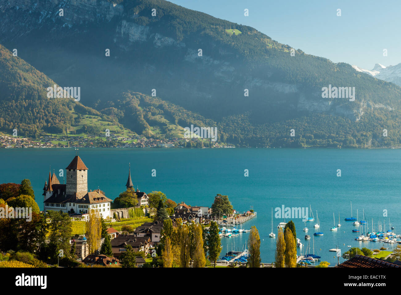 The town of Spiez and Lake Thun, canton of Bern, Switzerland Stock ...