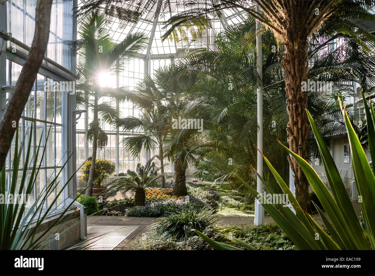 Gewaechshaus Stock Photos & Gewaechshaus Stock Images - Alamy