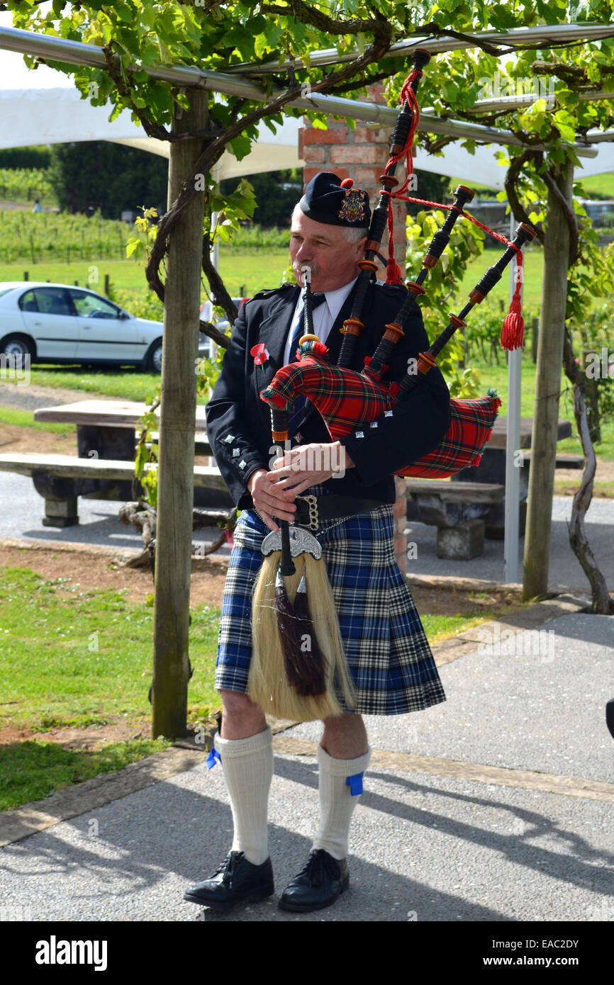 Bagpiper in field hi-res stock photography and images - Alamy
