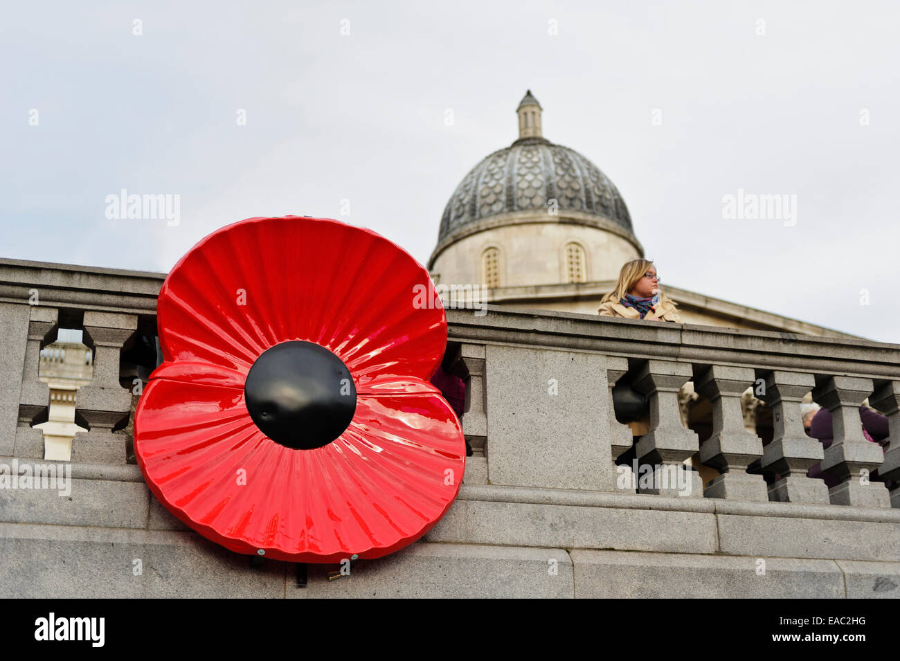 A giant red poppy on display to commemorate the Anniversary of the ...