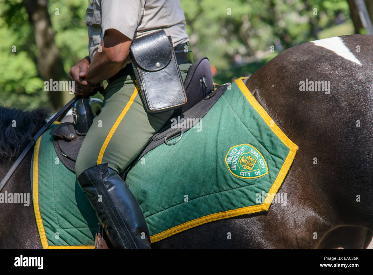 Detail of a City of New York Parks Department Mounted Security Officer ...