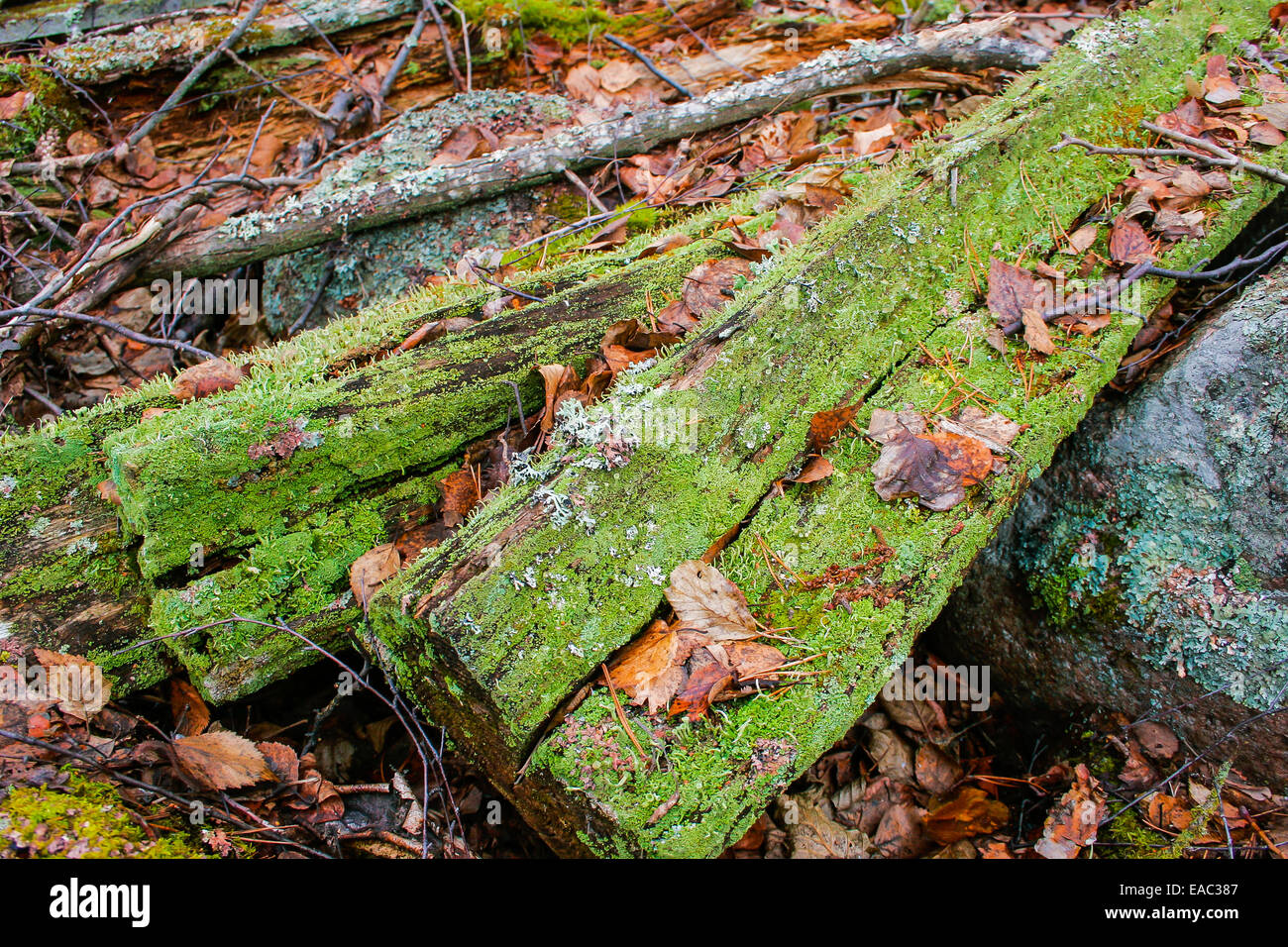 Old building remains Stock Photo - Alamy