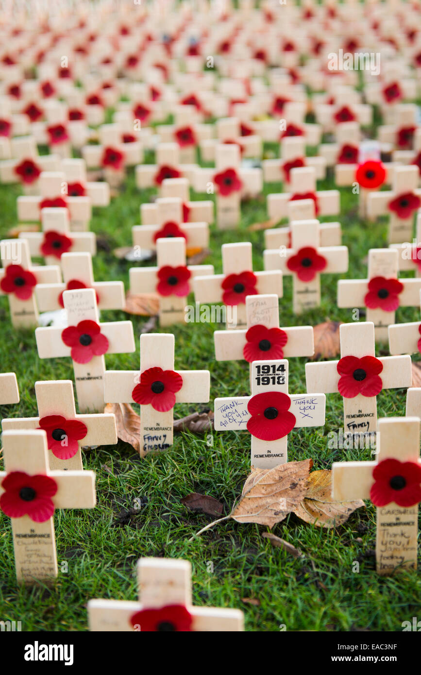 Remembrance day 100th anniversary of ww1 hi-res stock photography and ...