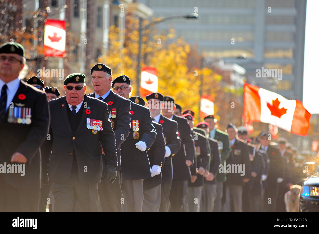 Marching canadian veterans hi-res stock photography and images - Alamy