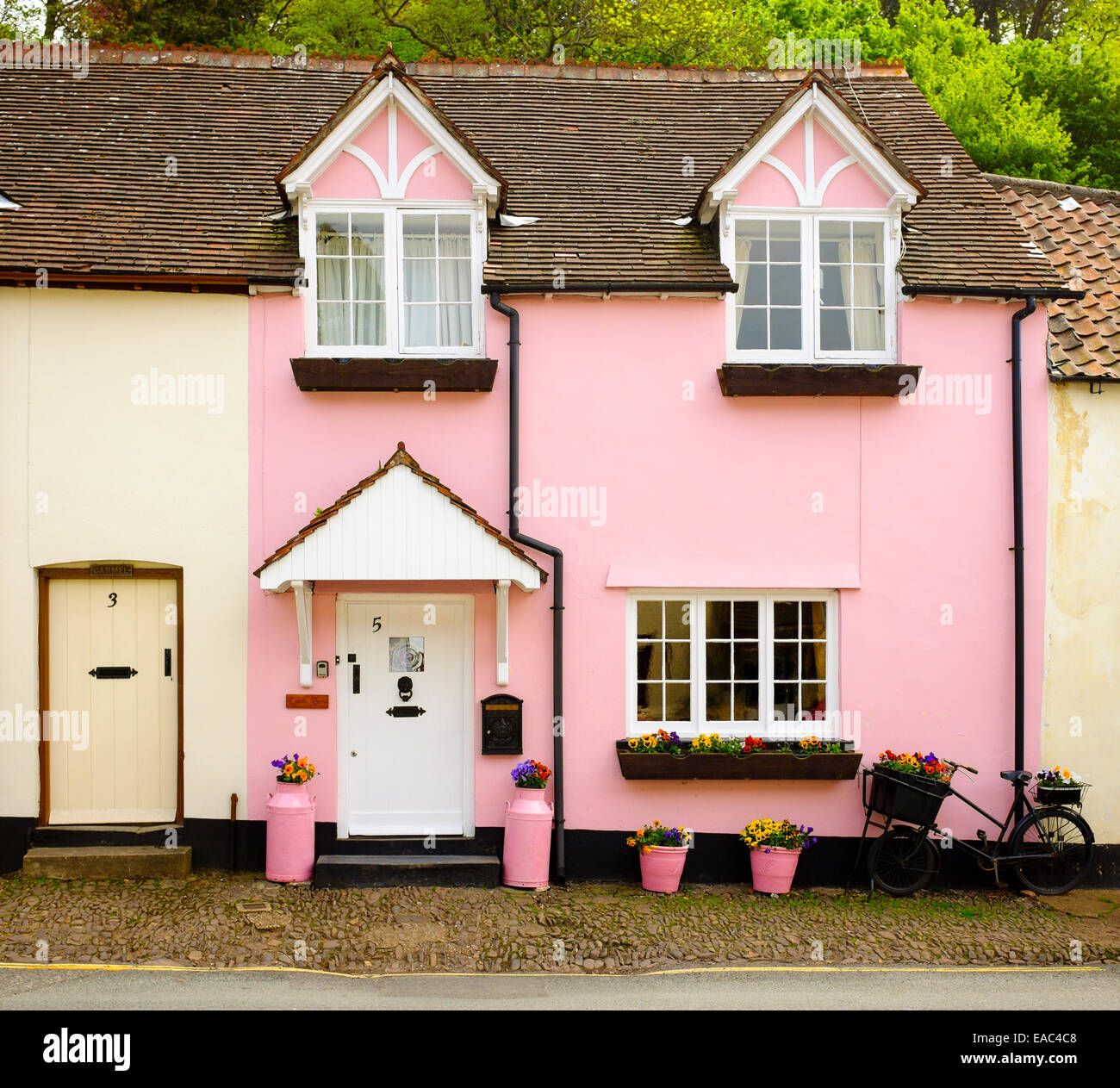 Pink cottage, Dunster, Devon Stock Photo - Alamy