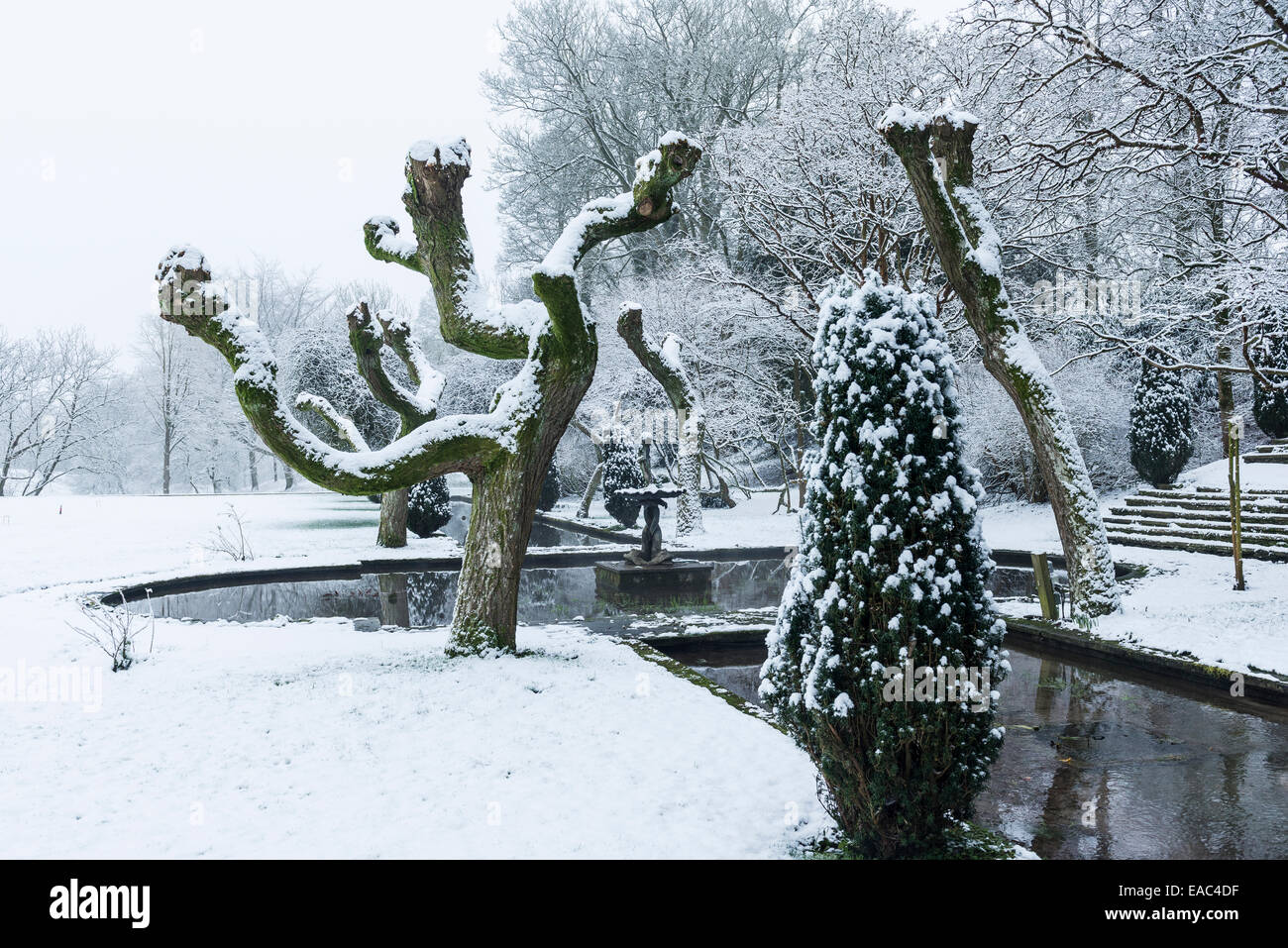 Cropped trees around a frozen pond in snowy garden Stock Photo - Alamy