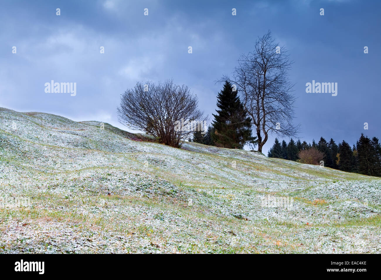 Snow bavaria hi-res stock photography and images - Alamy