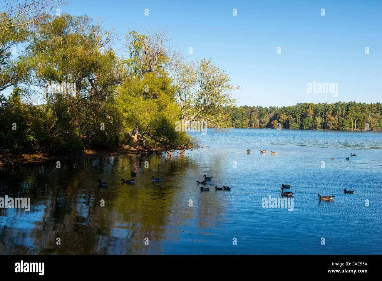 Loch Raven Reservoir in Baltimore County, Maryland USA Stock Photo - Alamy