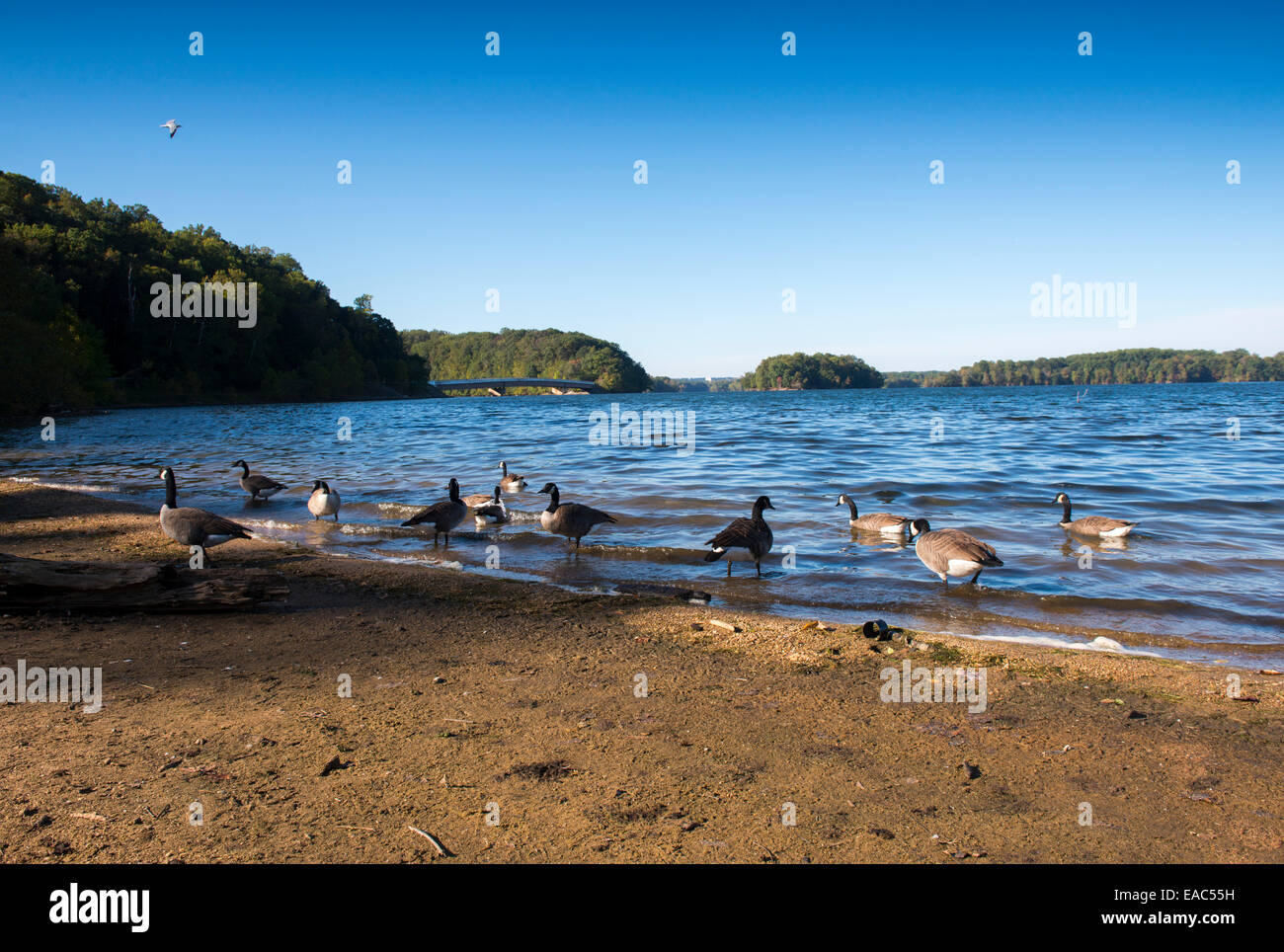 Loch Raven Reservoir in Baltimore County, Maryland USA Stock Photo - Alamy
