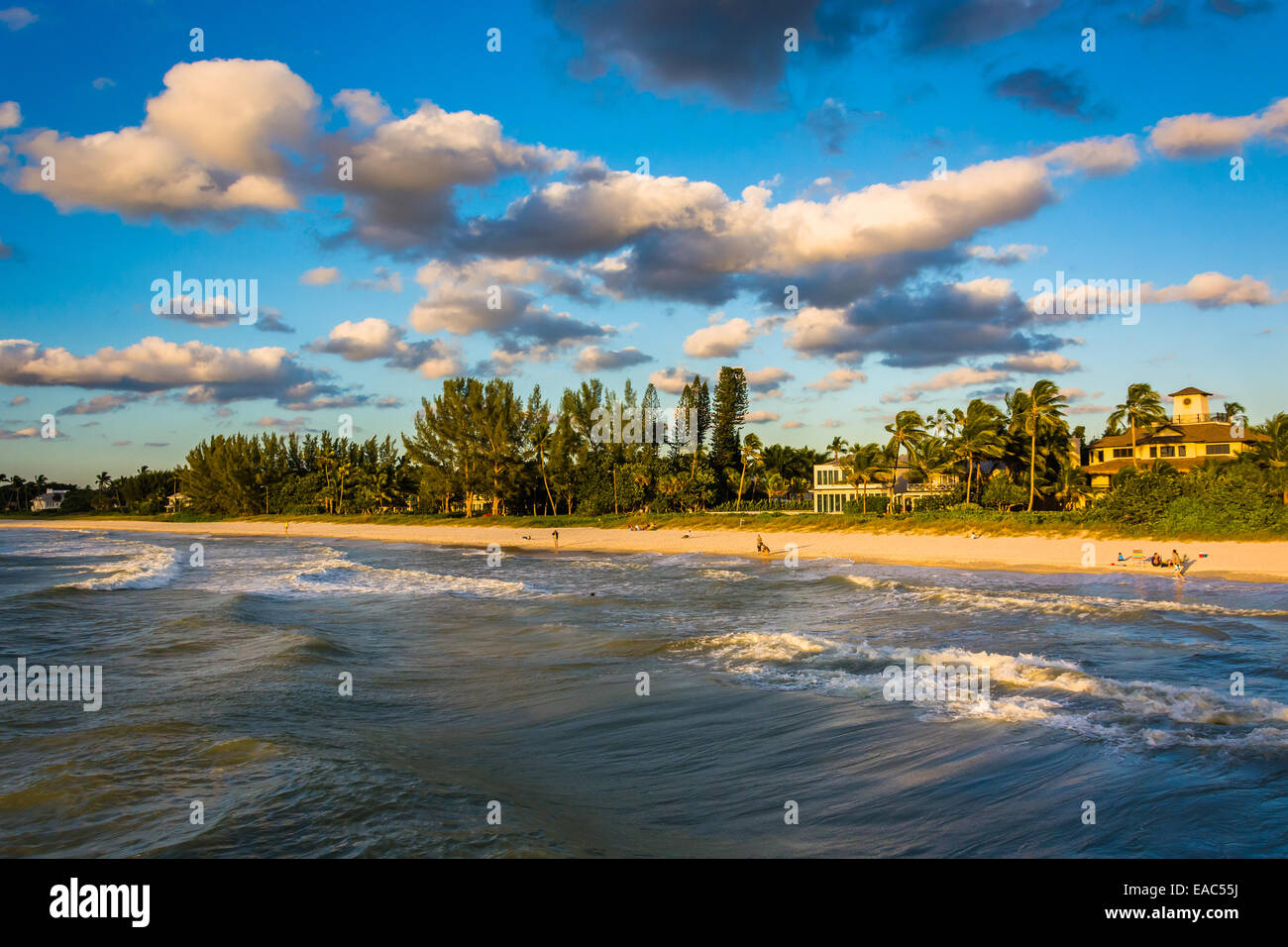 View of the beach from the fishing pier in Naples, Florida Stock Photo ...