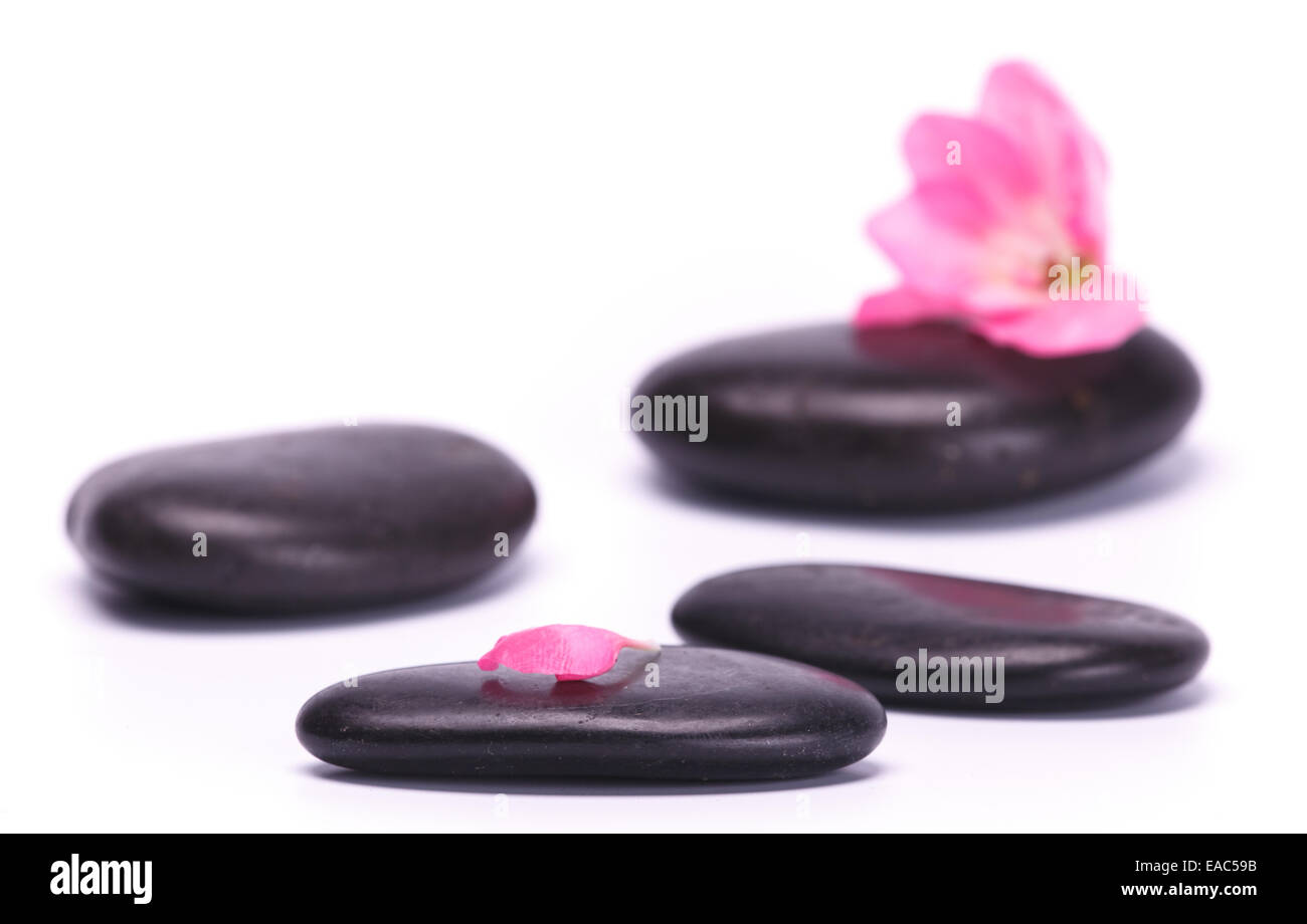 Spa stones on white background Stock Photo - Alamy