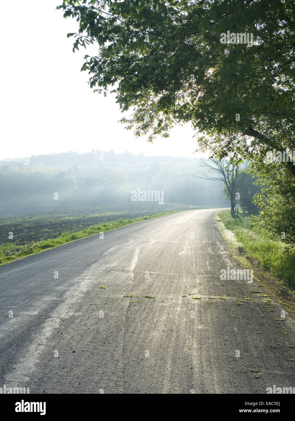 a rural road in spring in bright morning light Stock Photo - Alamy