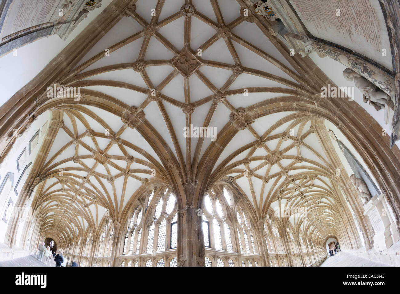 The cloisters and vaulted ceilings at Wells Cathedral, Somerset Stock ...