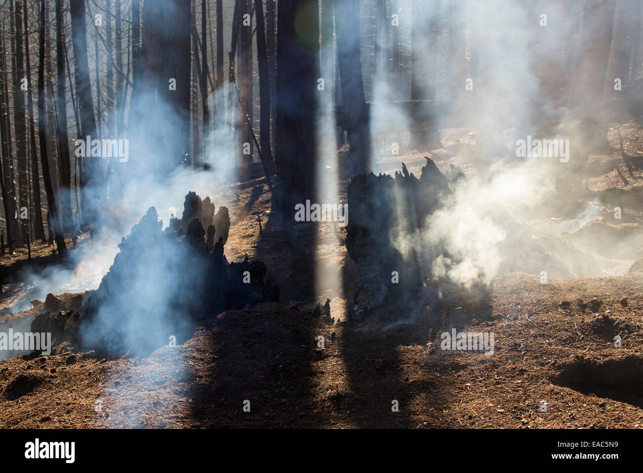 The King fire in the El Dorado National Forest, California, USA Stock ...