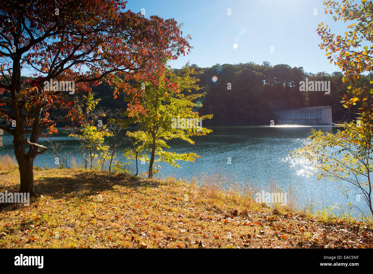 Raven dam hi-res stock photography and images - Alamy