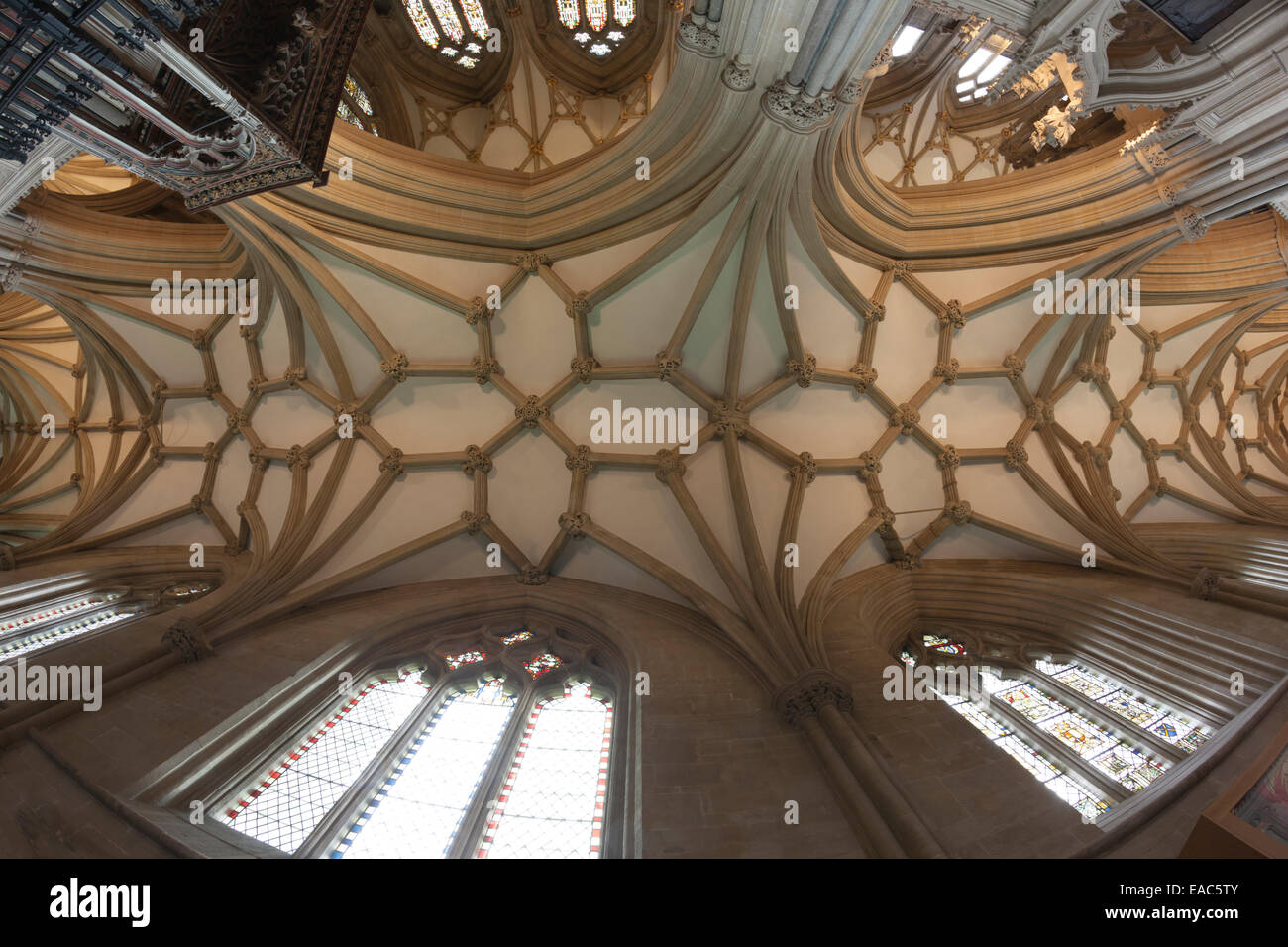 The cloisters and vaulted ceilings at Wells Cathedral, Somerset Stock ...