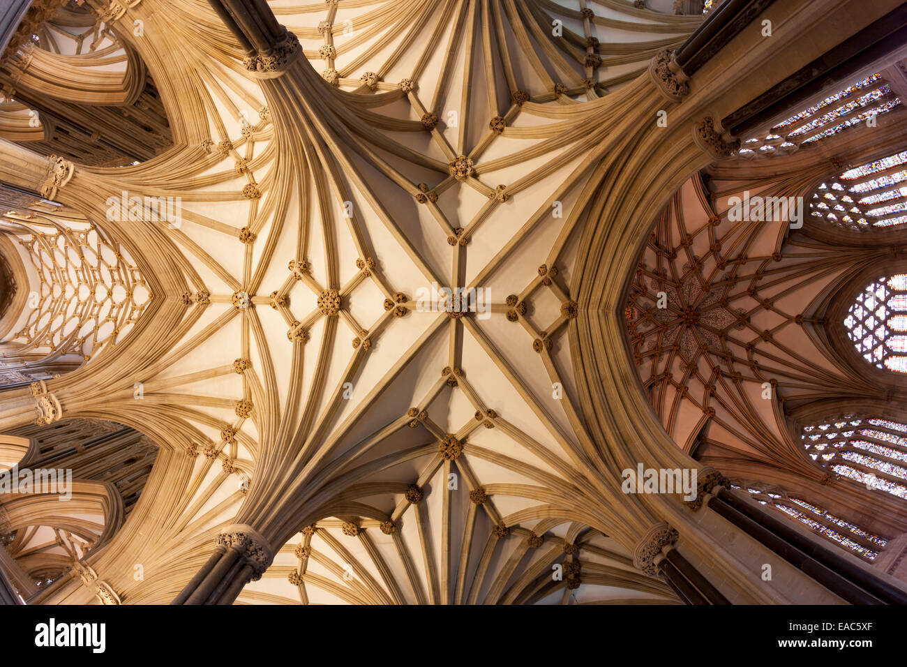 The Lady Chapel in Wells Cathedral, Wells, Somerset Stock Photo - Alamy