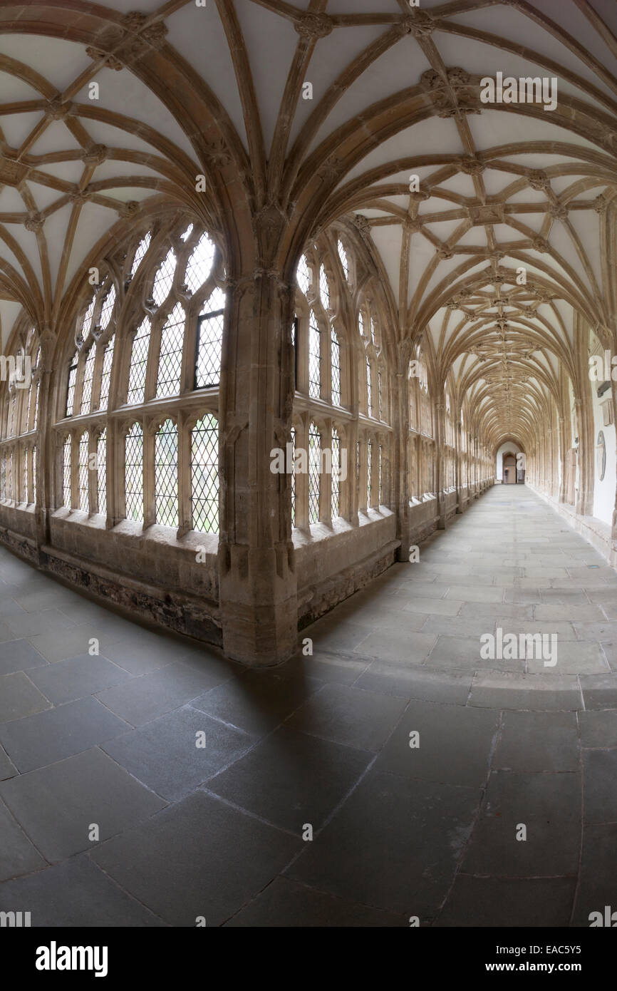 Cloisters ceiling hi-res stock photography and images - Alamy
