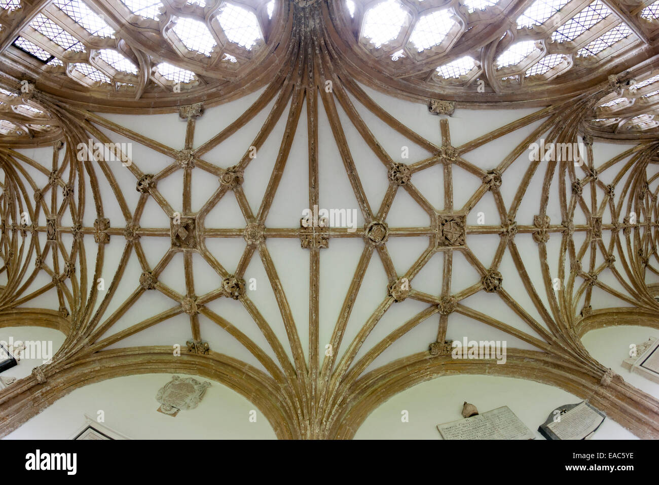 The cloisters and vaulted ceilings at Wells Cathedral, Somerset Stock ...