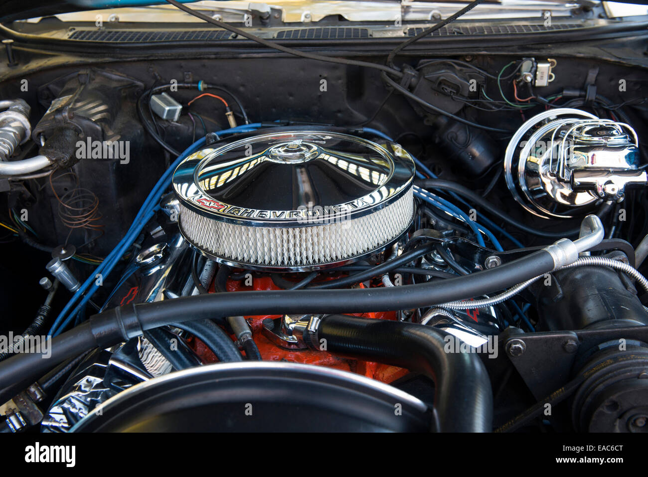 Under the hood of a classic car at the Fells Point Fun Festival ...