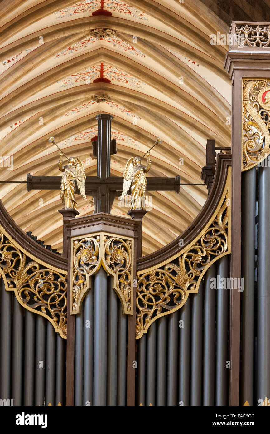 Trumpet organ hi-res stock photography and images - Alamy