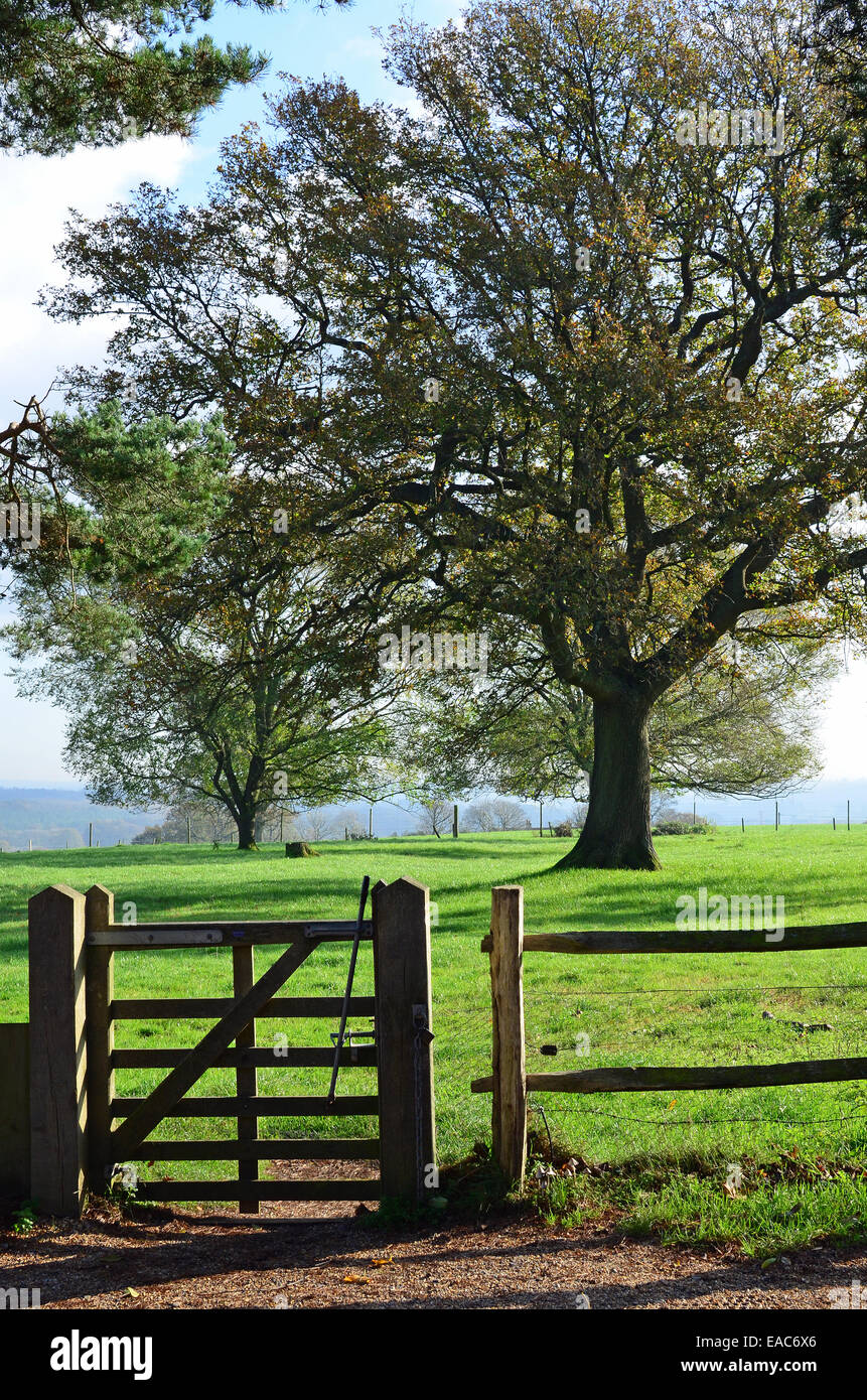 Countryside gate leading to open land in Sussex, England Stock Photo ...
