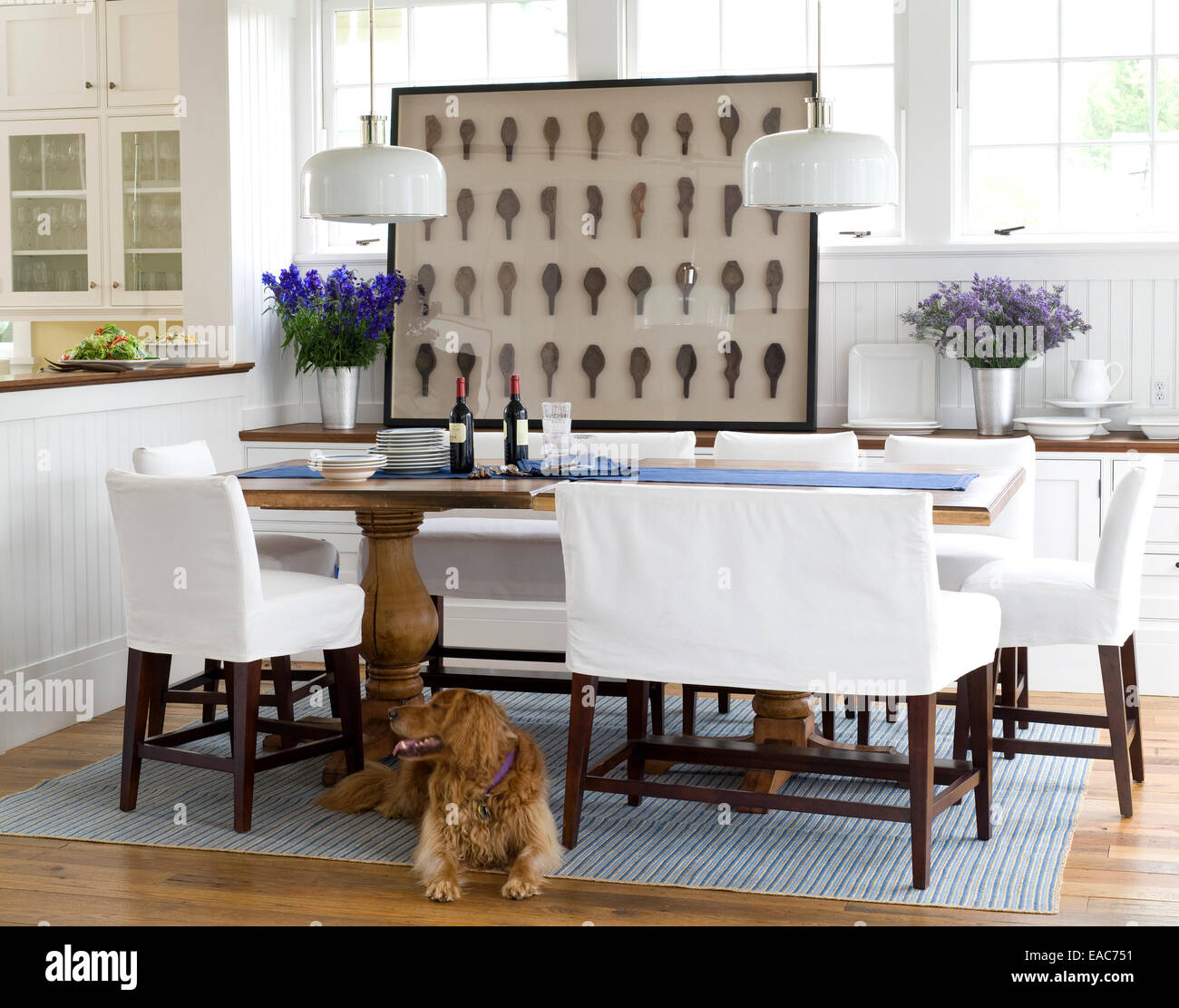 dog in dining room Stock Photo - Alamy