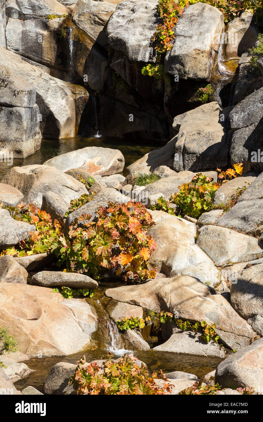 A stream in the El Dorado National Forest, California, USA Stock Photo ...
