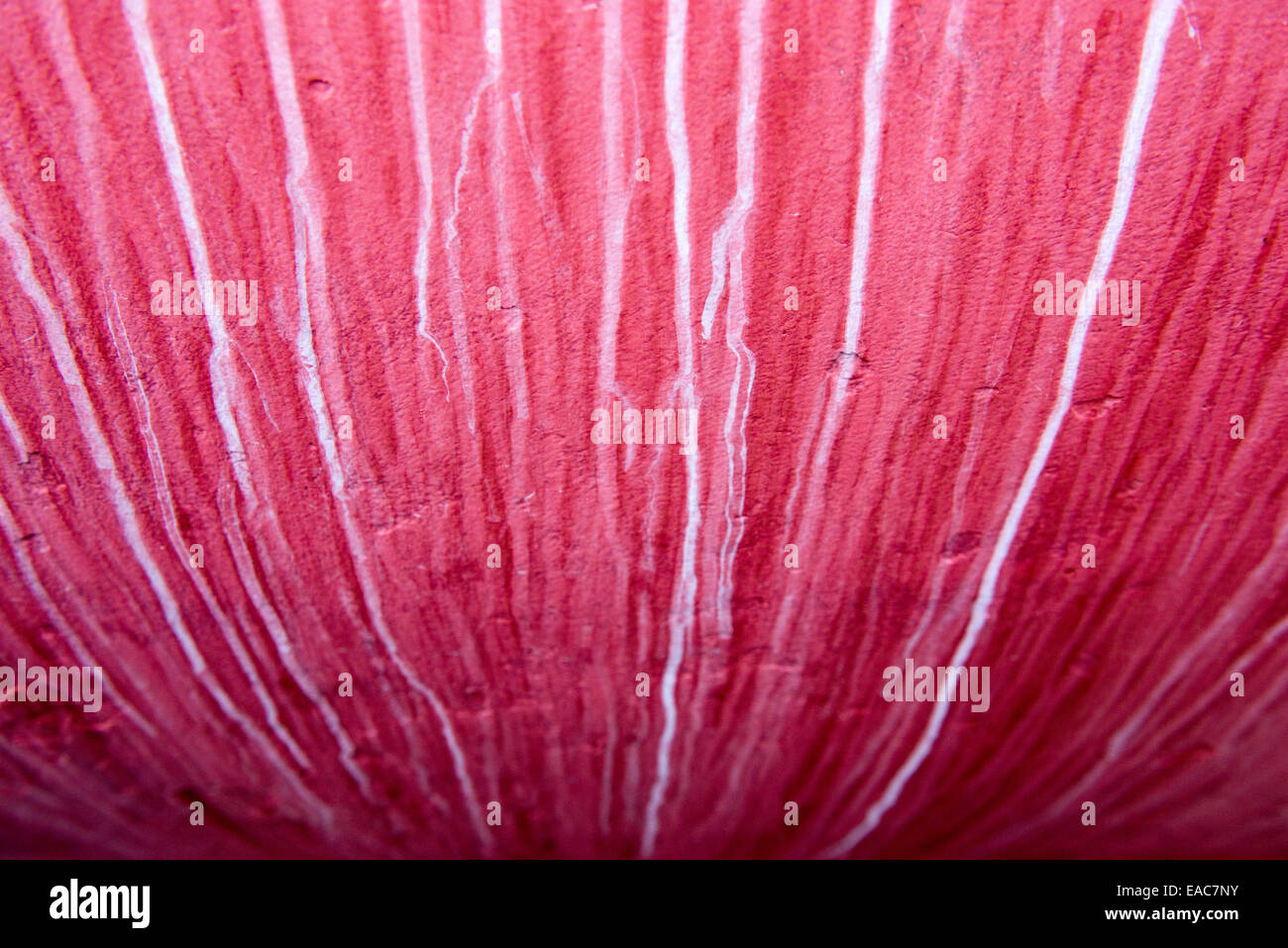 Knapps narrows hi-res stock photography and images - Alamy