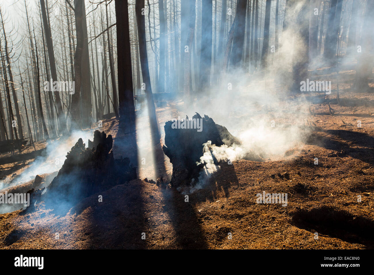 King fire el dorado national forest hi-res stock photography and images ...