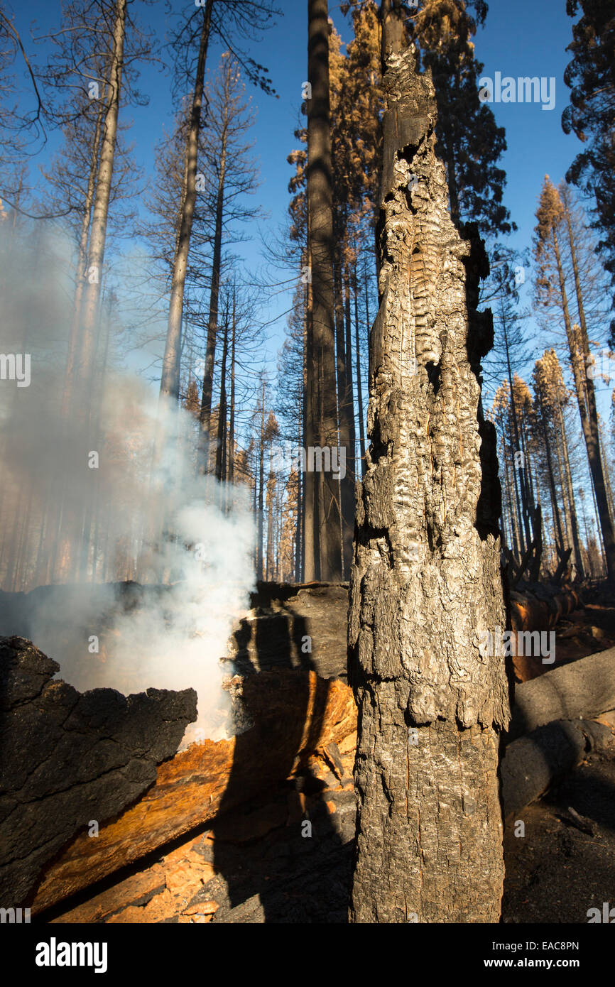 The King Fire in the El Dorado National Forest, California, USA Stock ...