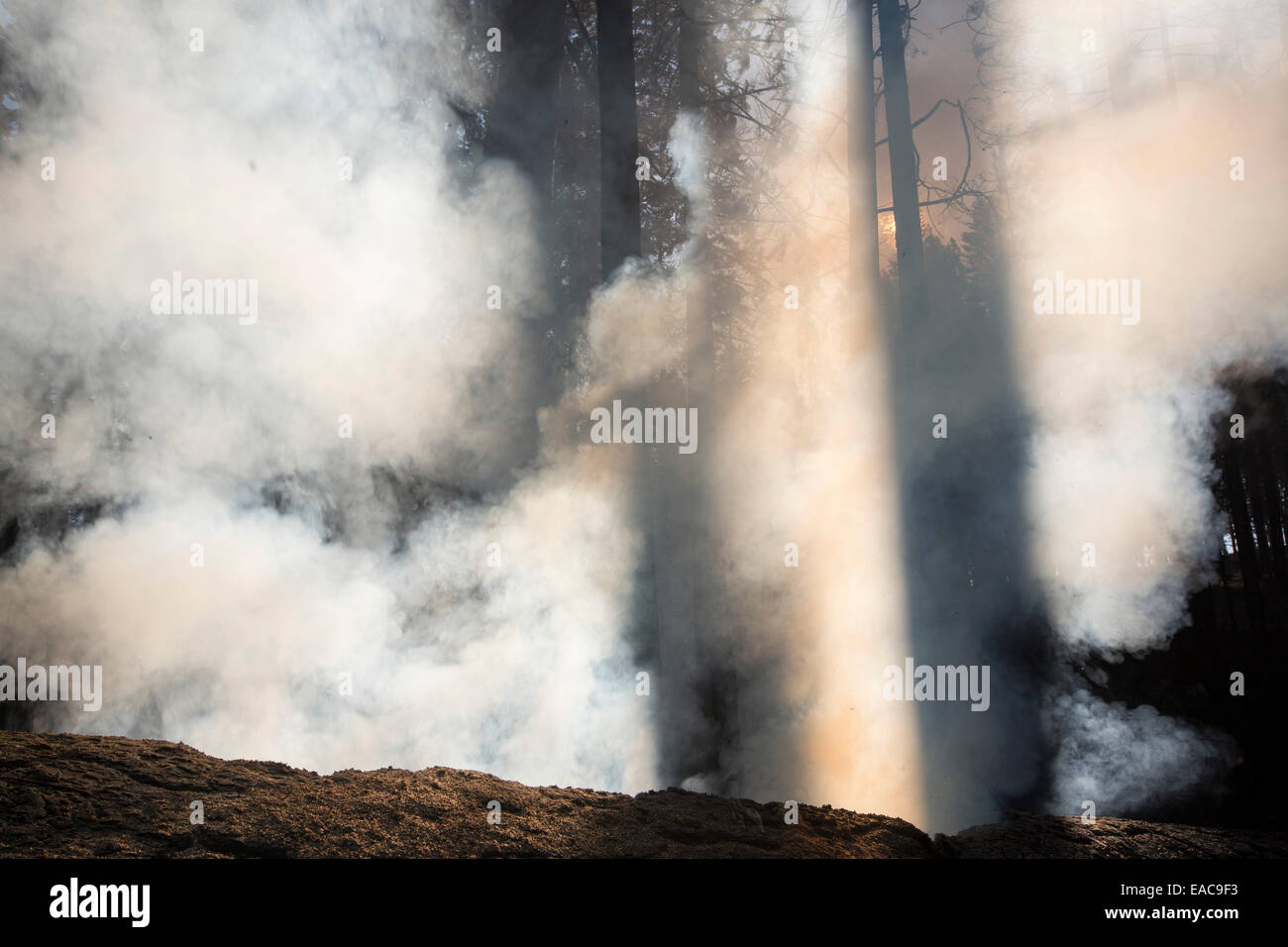 King fire in california usa hi-res stock photography and images - Alamy