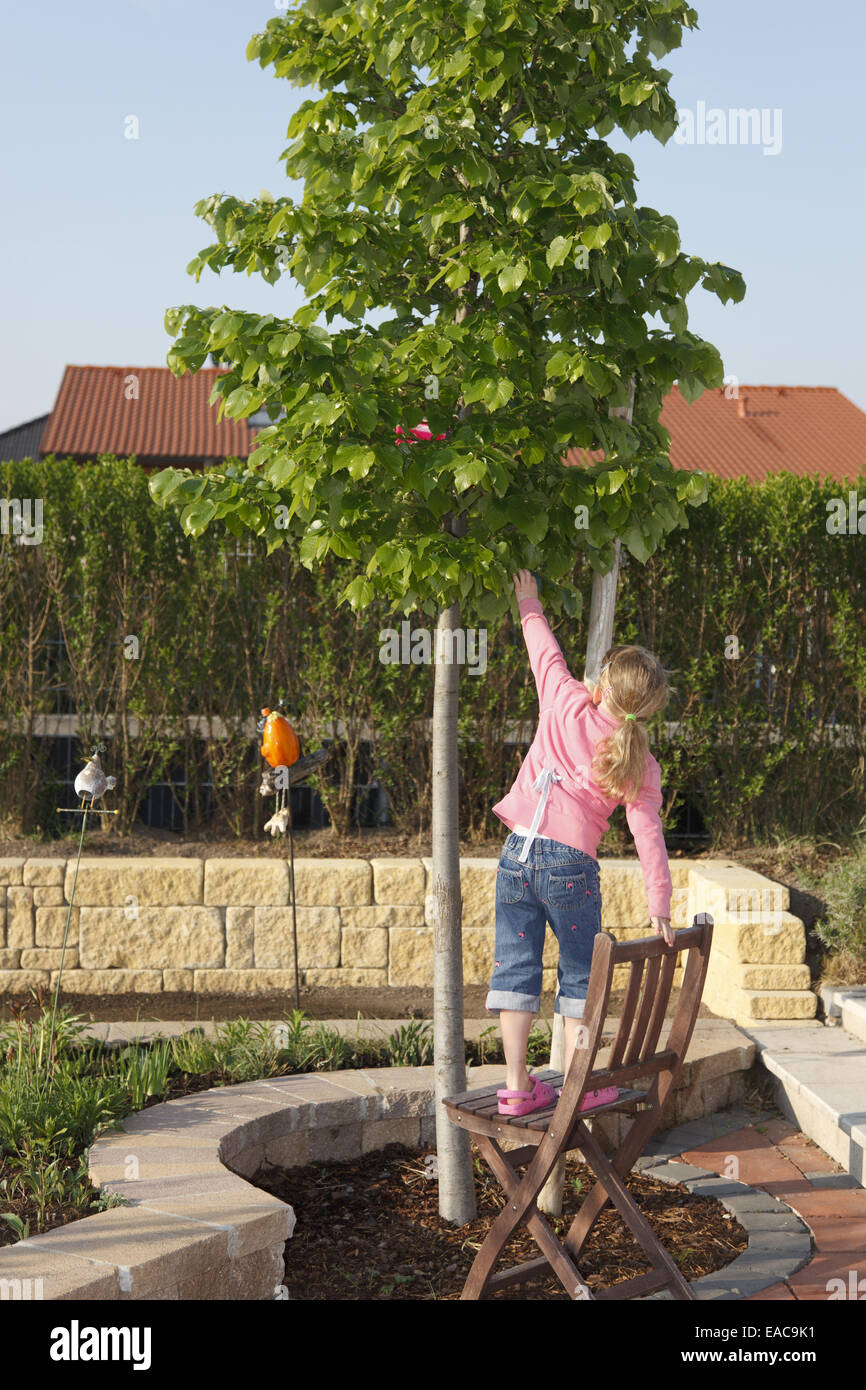 Girl trying catch something from hi-res stock photography and images ...