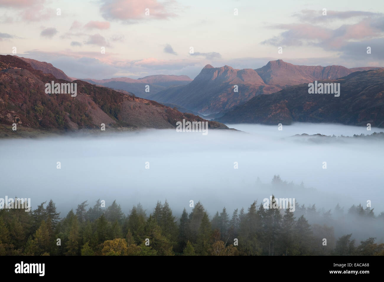 The Langdale Pikes from Holme Fell, Cumbria, UK Stock Photo - Alamy
