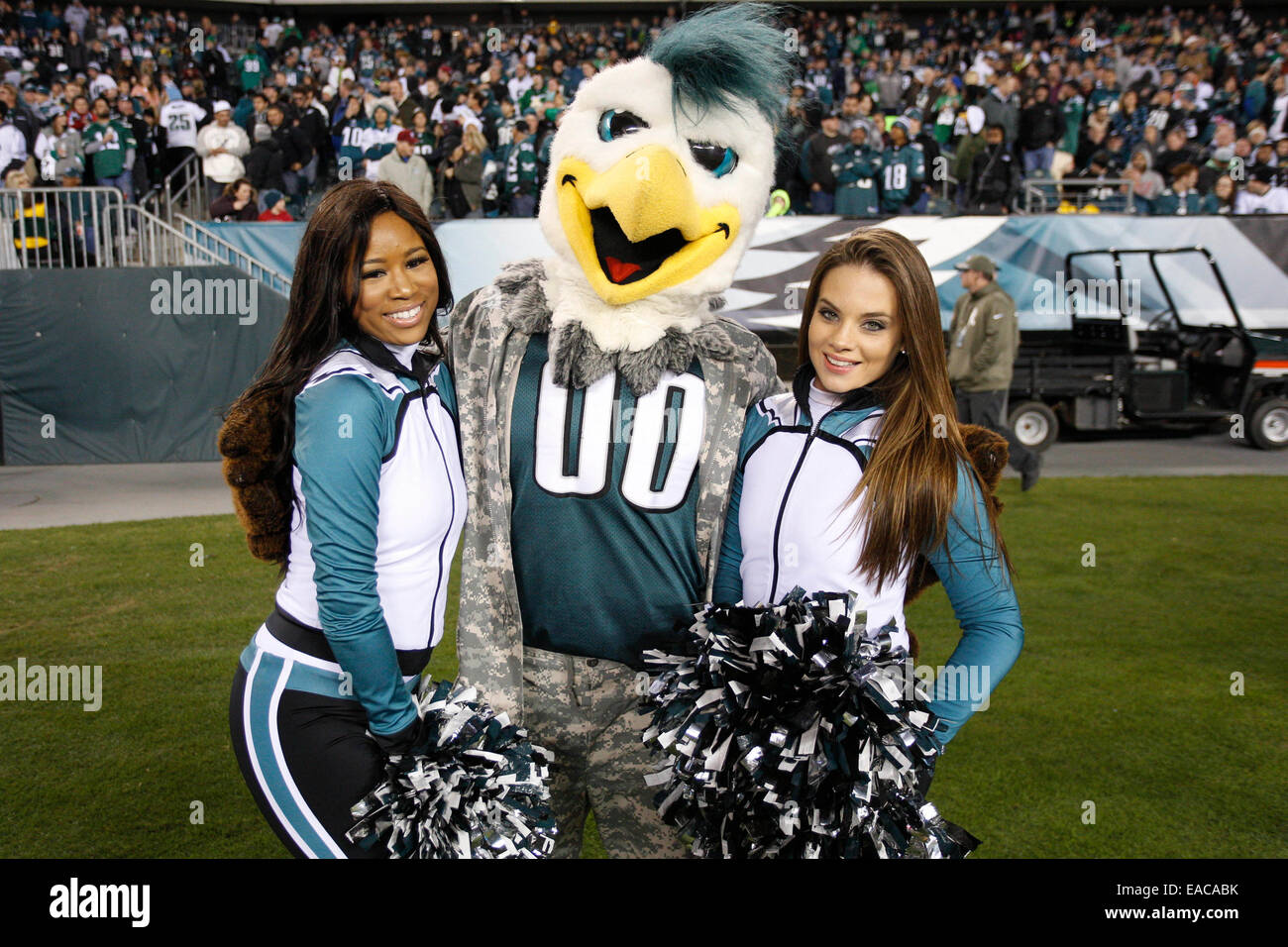 Carolina panthers mascot hi-res stock photography and images - Alamy