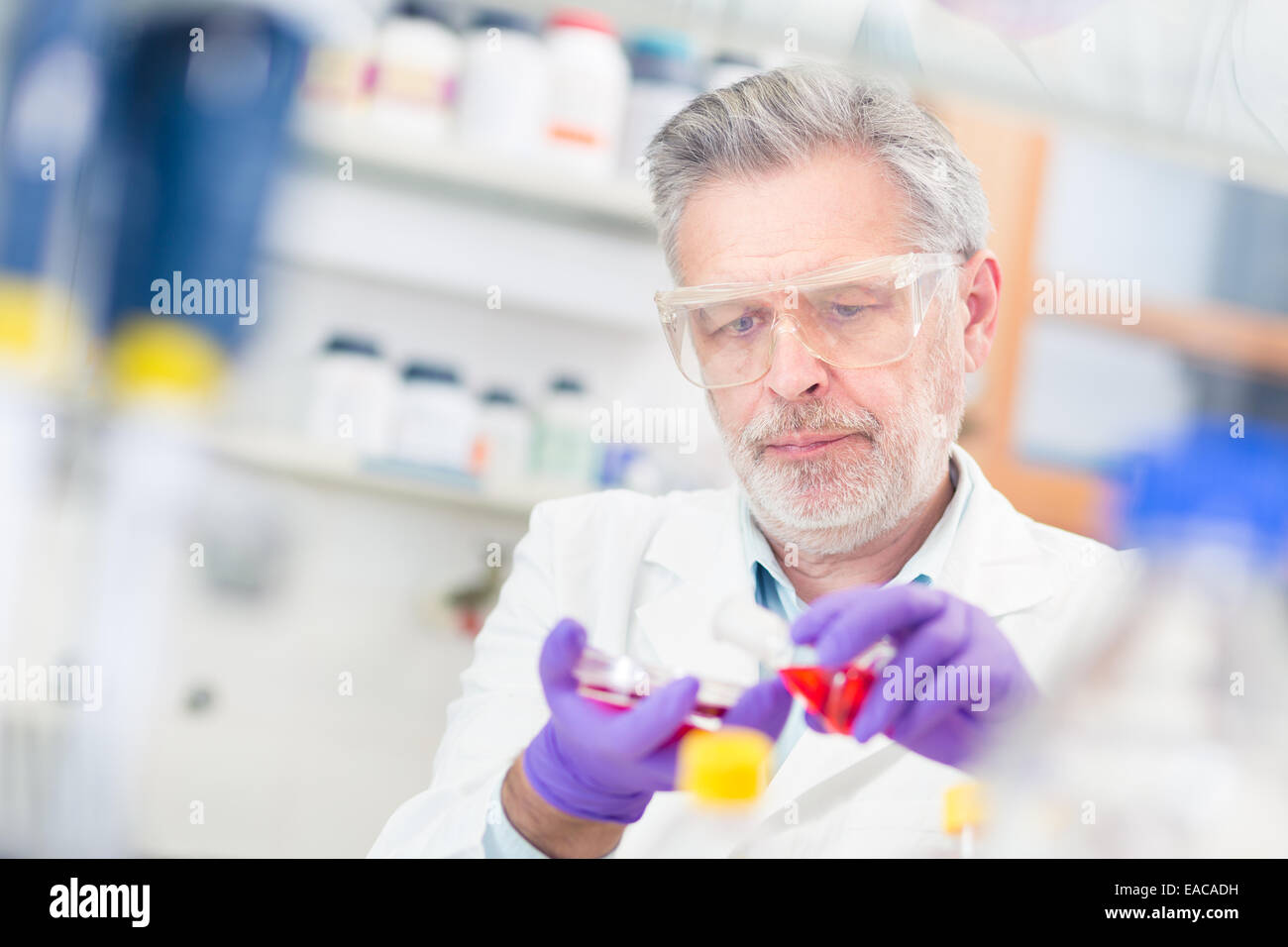 Life scientist researching in the laboratory Stock Photo - Alamy
