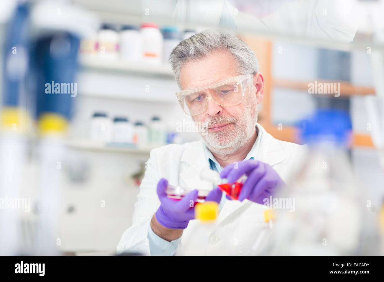 Life scientist researching in the laboratory Stock Photo - Alamy