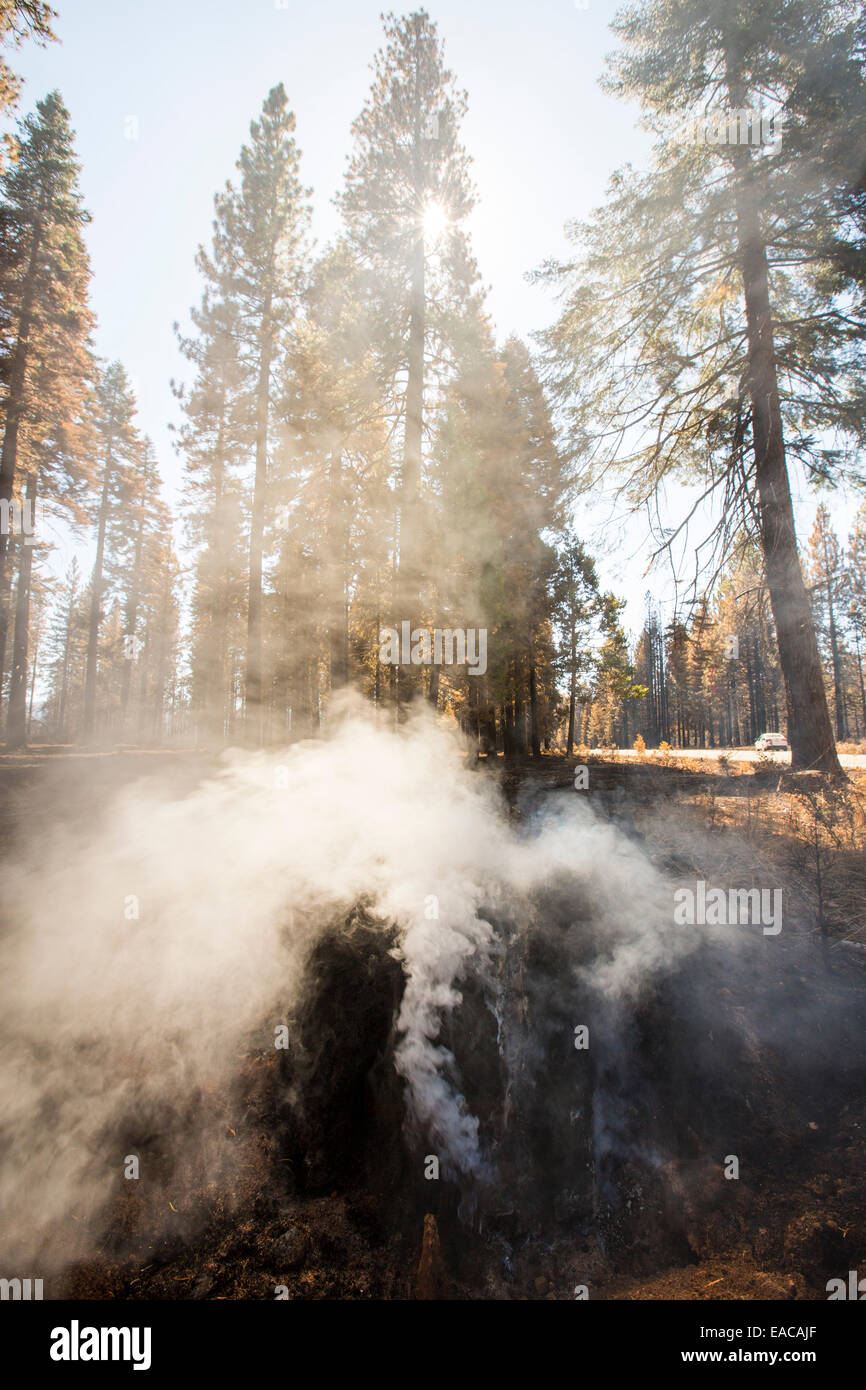 Greenhouse gas consequence hi-res stock photography and images - Alamy