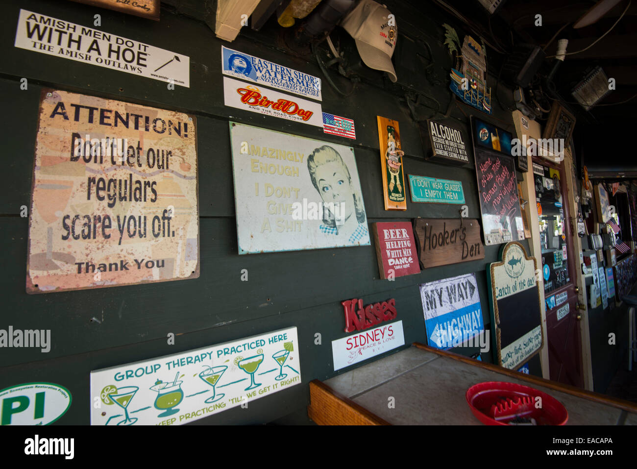 Novelty signs in a bar in Saint Michaels, Maryland USA Stock Photo - Alamy