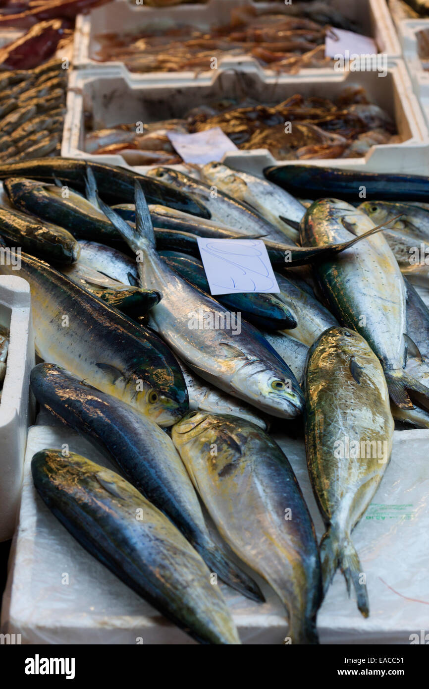 fish market in Catania Sicily Italy Stock Photo - Alamy