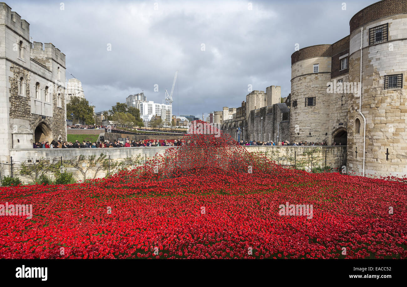 The major art installation Blood Swept Lands and Seas of Red at the ...