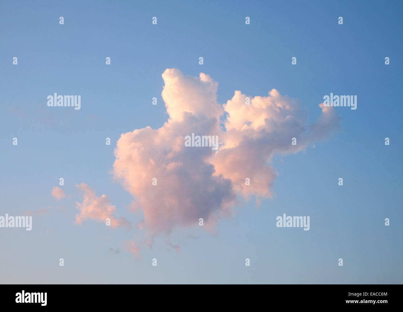 Elephant shape cloud hi-res stock photography and images - Alamy