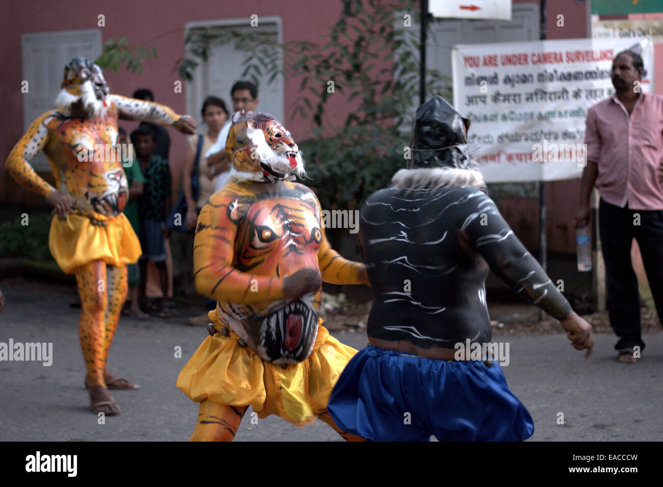 Puli Kali (Pulikkali), or tiger play, a folk dance art form of Kerala ...