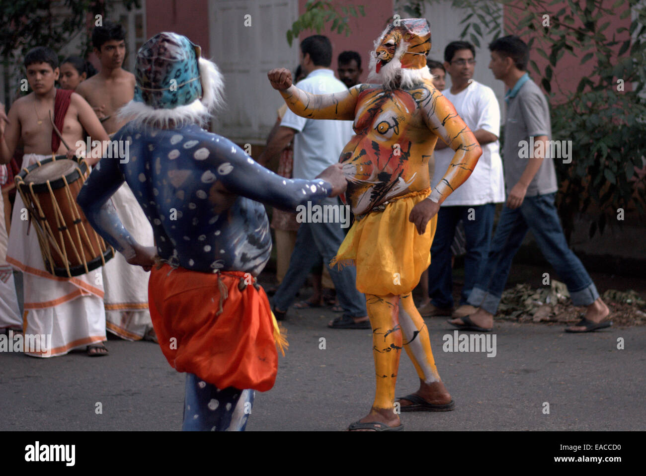 Puli Kali (Pulikkali), or tiger play, a folk dance art form of Kerala ...