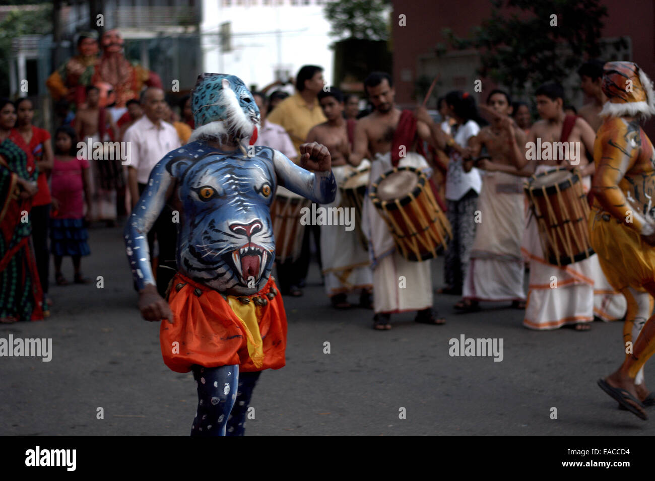 Puli Kali (Pulikkali), or tiger play, a folk dance art form of Kerala ...