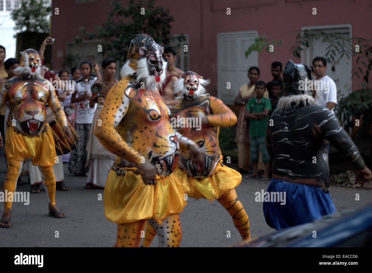Pulikali dancer hi-res stock photography and images - Alamy