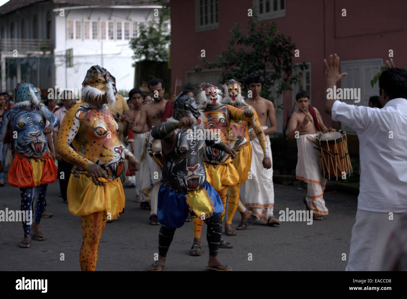Puli Kali (Pulikkali), or tiger play, a folk dance art form of Kerala ...