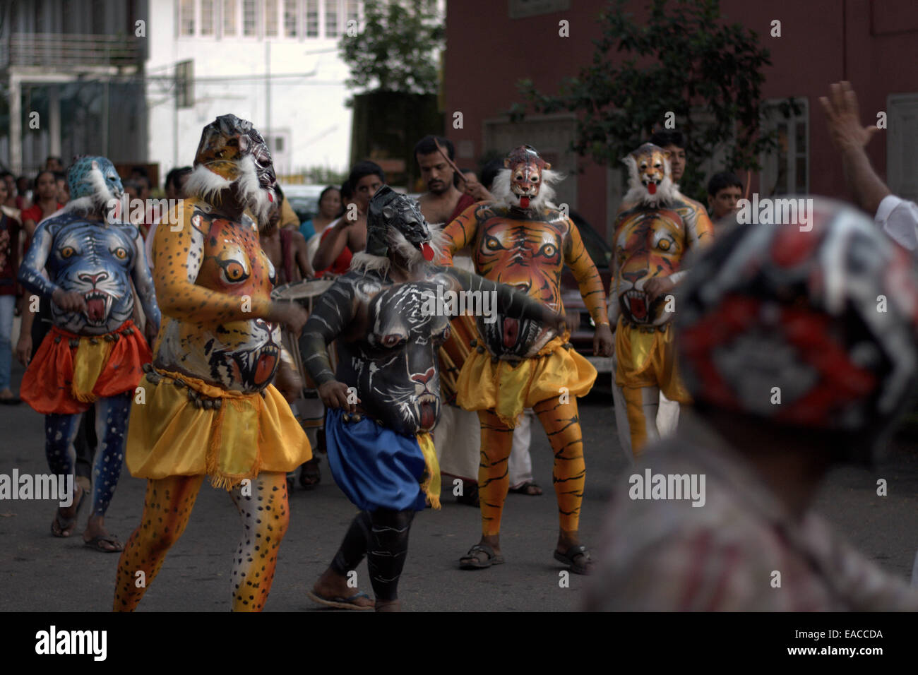 Puli Kali (Pulikkali), or tiger play, a folk dance art form of Kerala ...