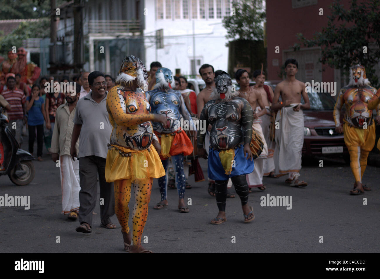 Puli Kali (Pulikkali), or tiger play, a folk dance art form of Kerala ...
