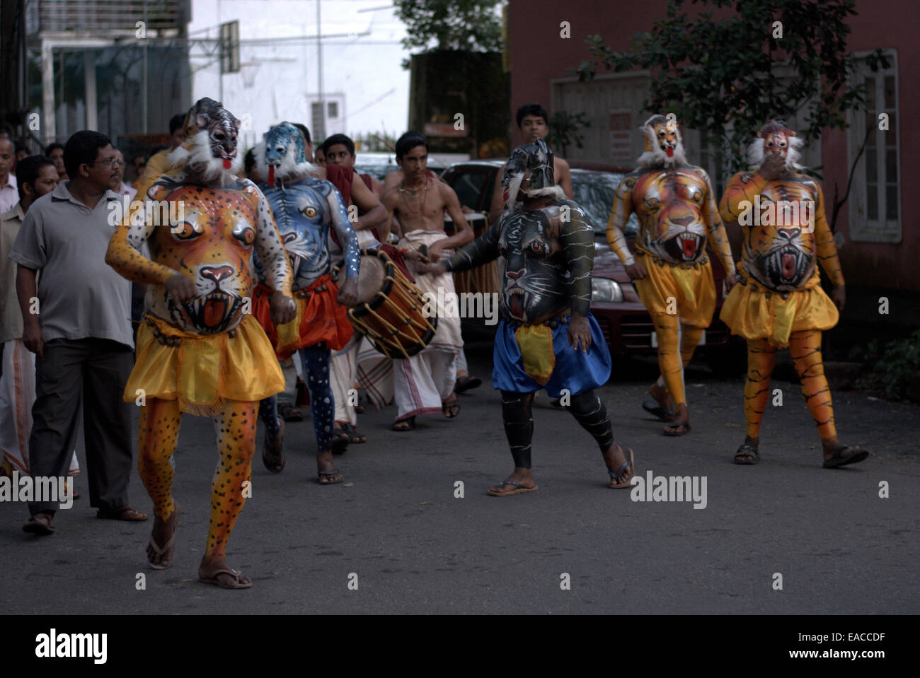 Puli Kali (Pulikkali), or tiger play, a folk dance art form of Kerala ...